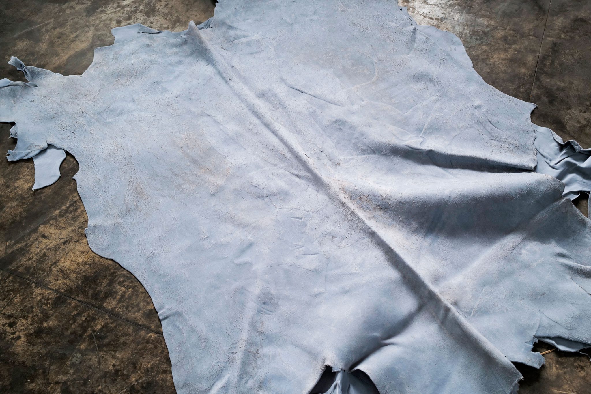 Sapa — Wet blue grain hides