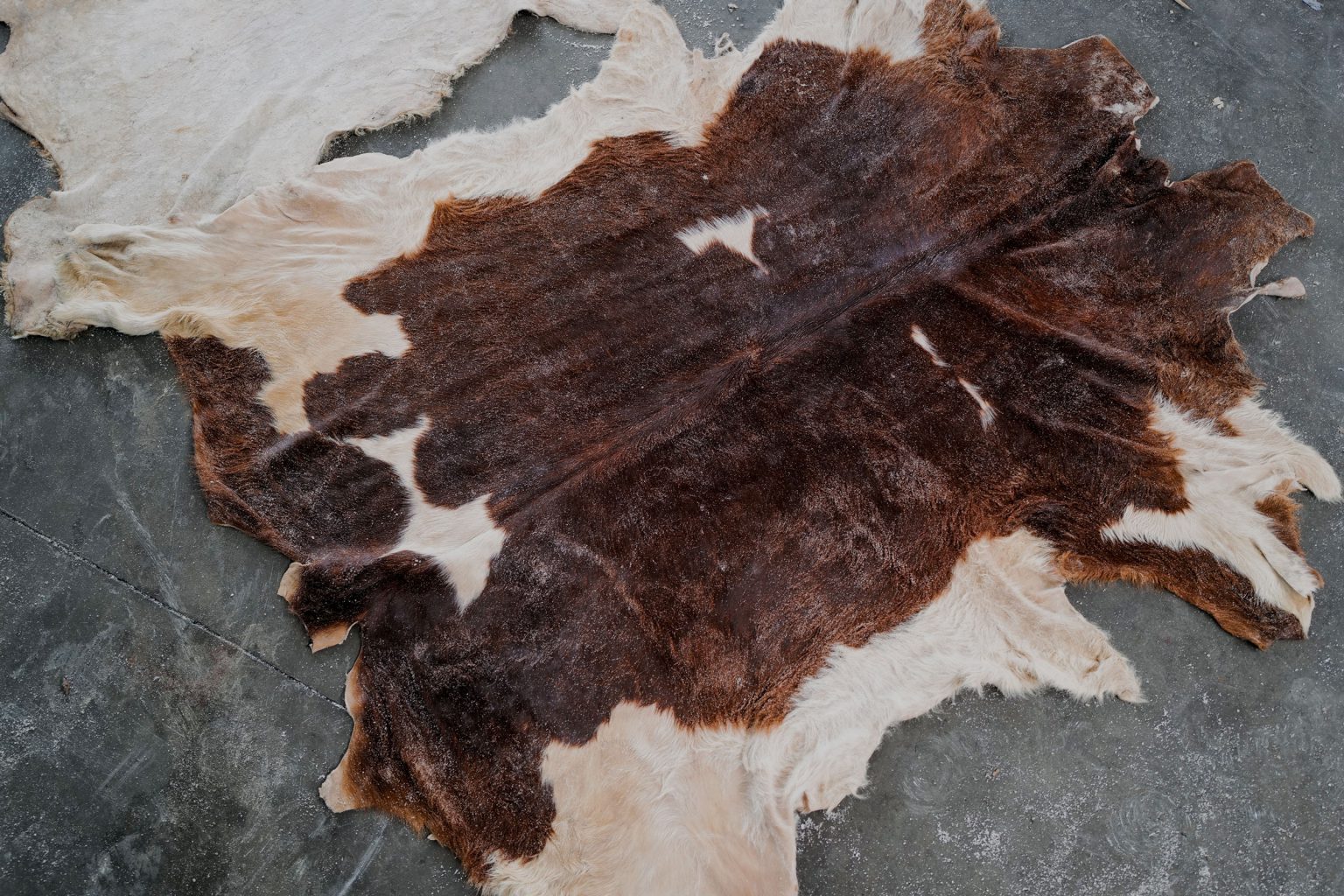 Sapa — Wet salted grain hides