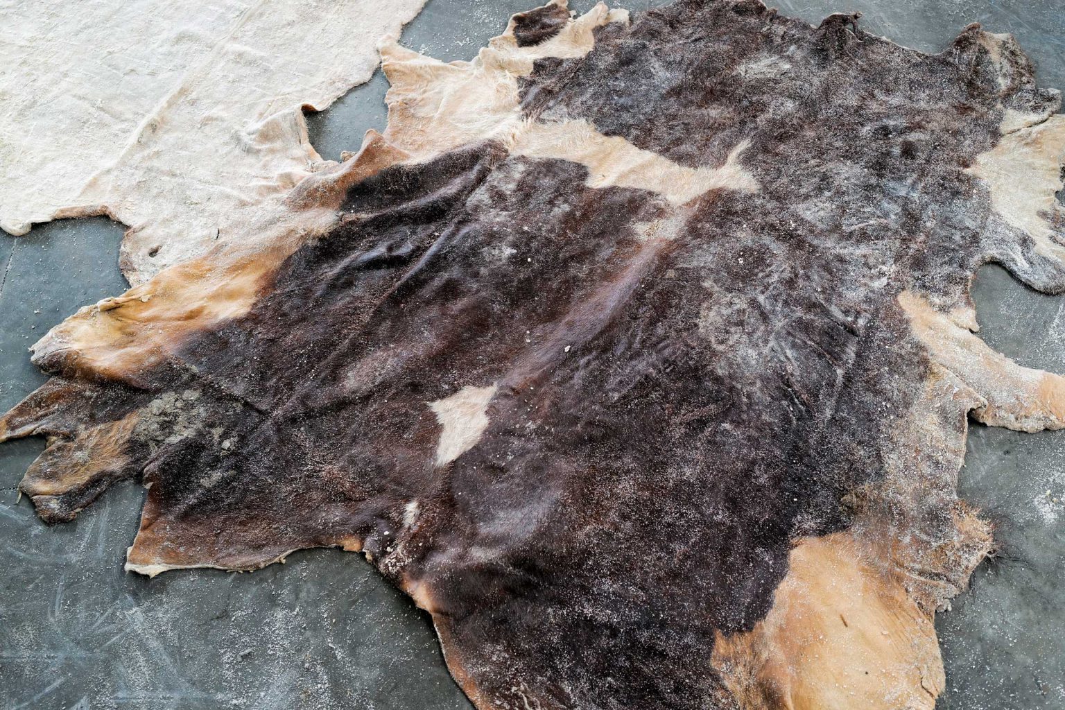 Sapa — Wet salted grain hides