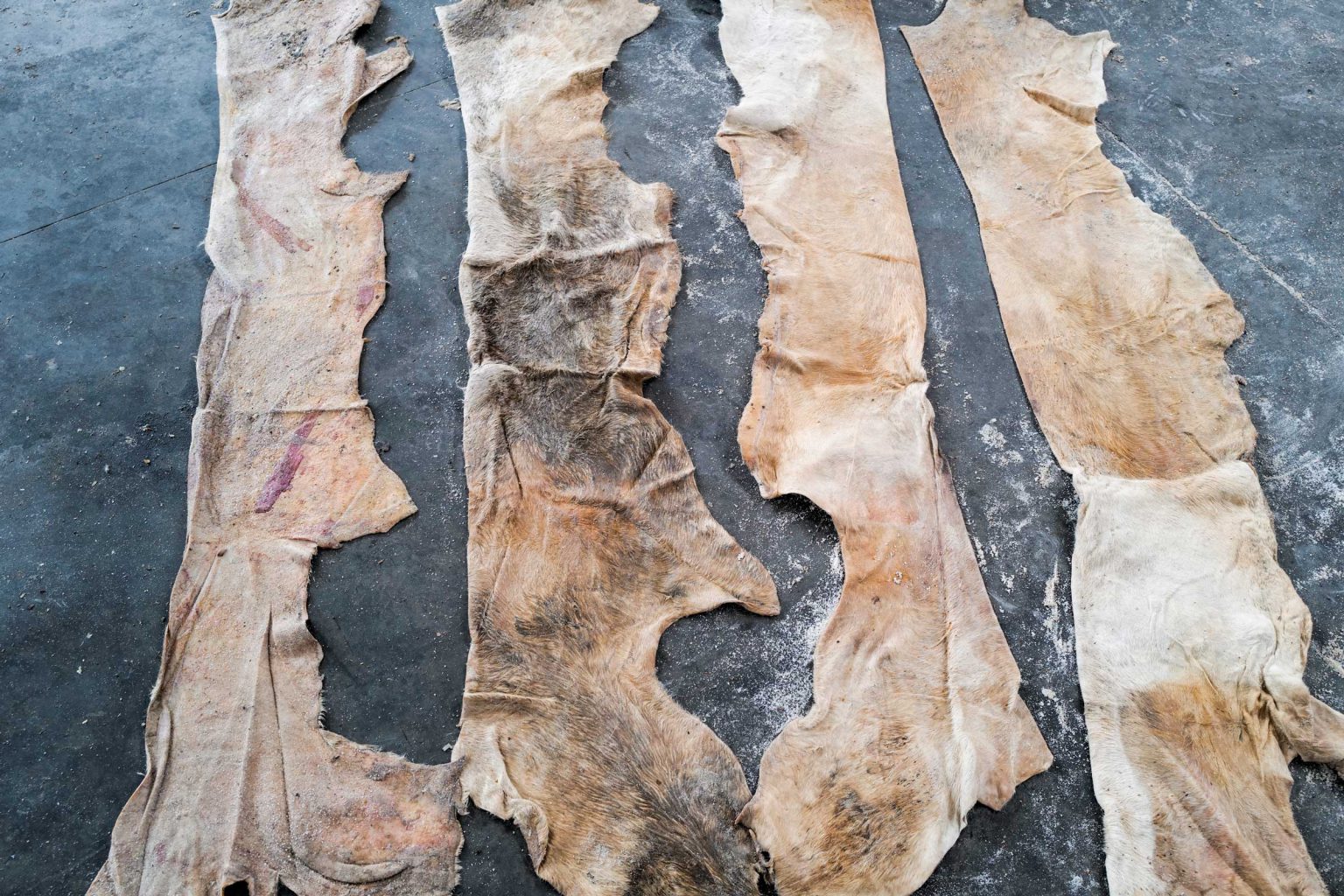 Sapa — Wet salted grain hides